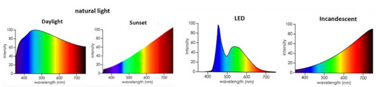A Light Source of a Different Color - Reese Hackman